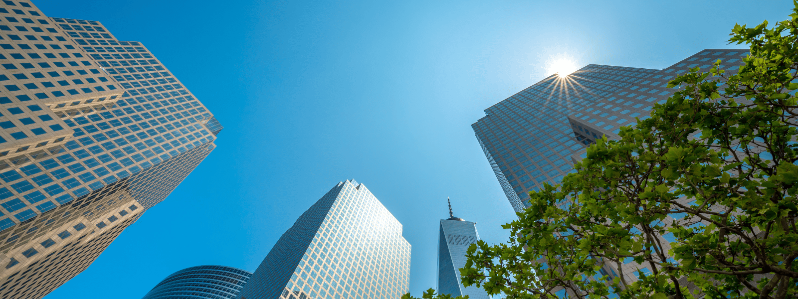 Successful System Go-Live - Sirius Solutions